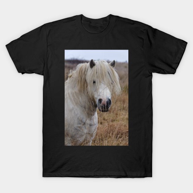 White Horse Portrait Graphic Tee Realistic Ranch Farm Animal Shirt for ...