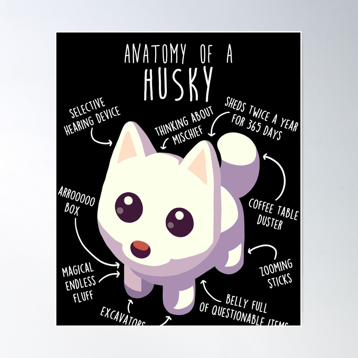White Husky Dog Anatomy Poster, 16x24 UNFRAMED - Walmart.com