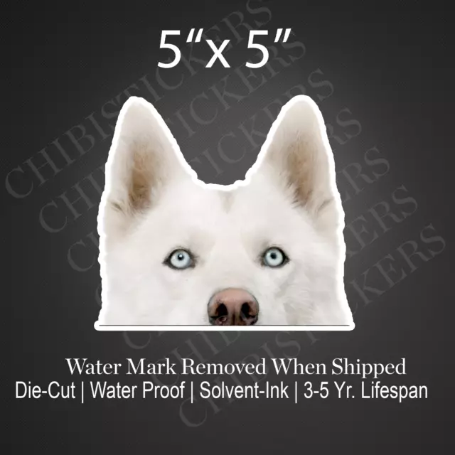 White Husky Siberian Husky Puppy Realistic Dog Sticker Vinyl Waterproof ...