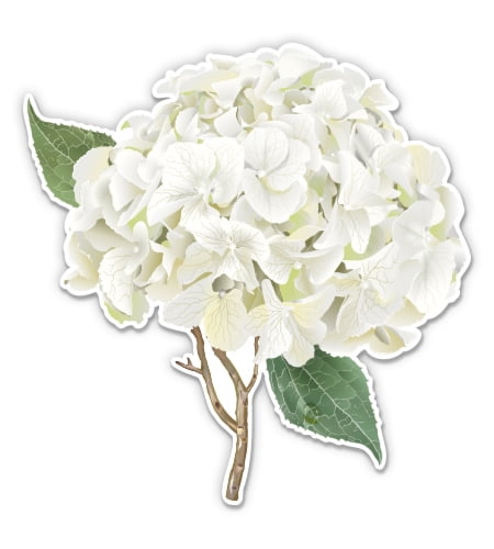 White Hydrangea Flower - 12" Vinyl Sticker Waterproof Decal - Walmart.com