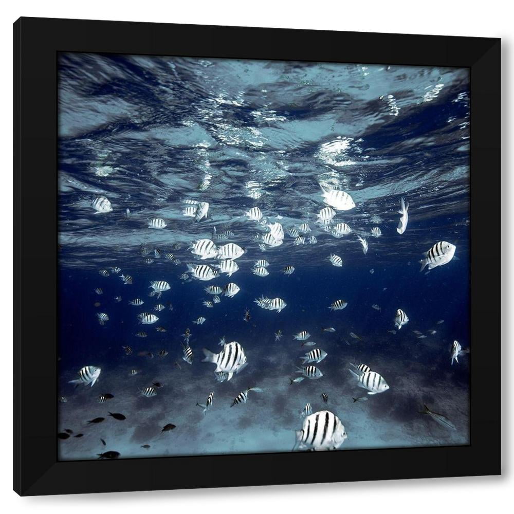 James White 20x20 Black Modern Wood Framed Wall Art Titled - Indigo School - Walmart.com