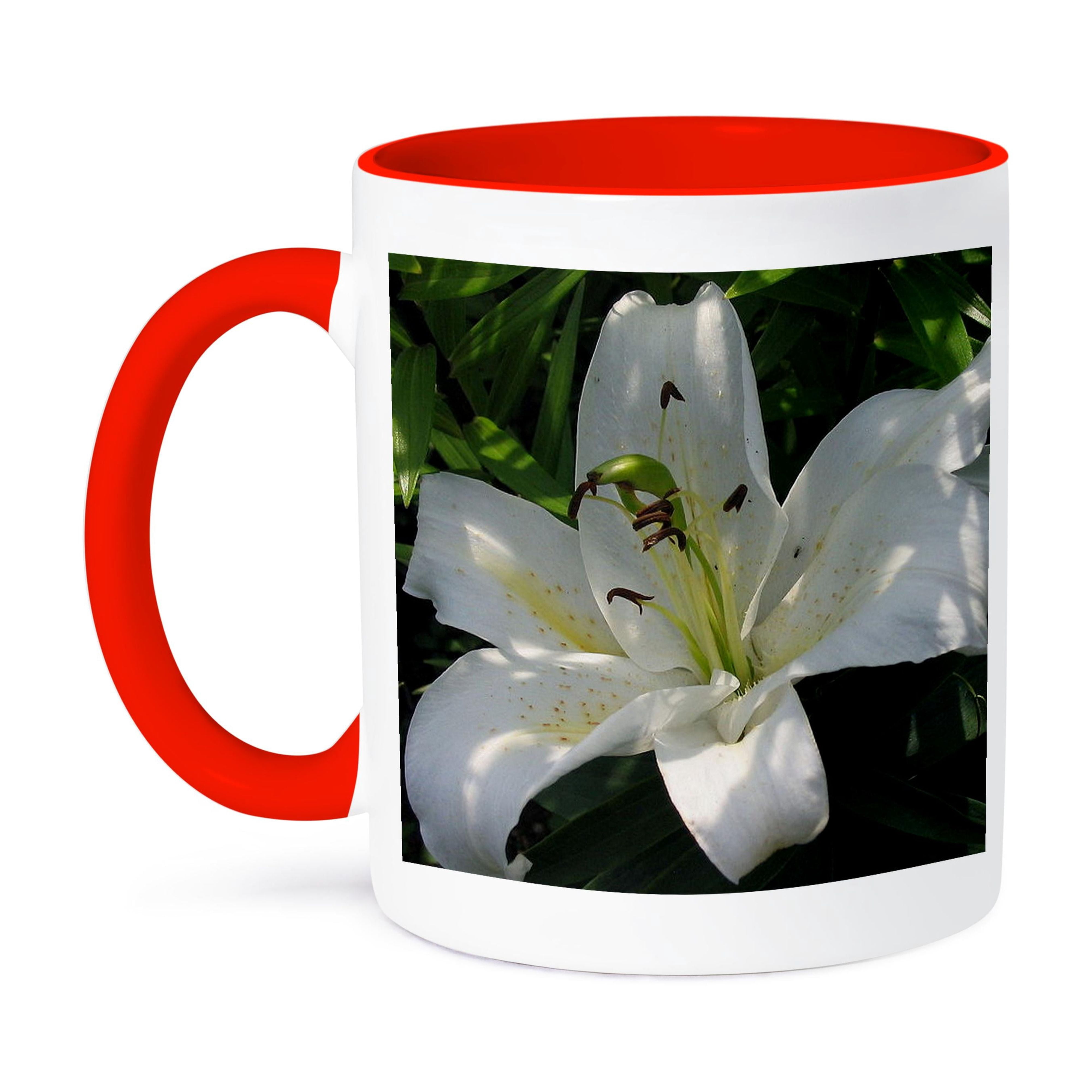 White Lily - May Birth Flower, Birth Flower, Lily, Lilies, Lilium ...