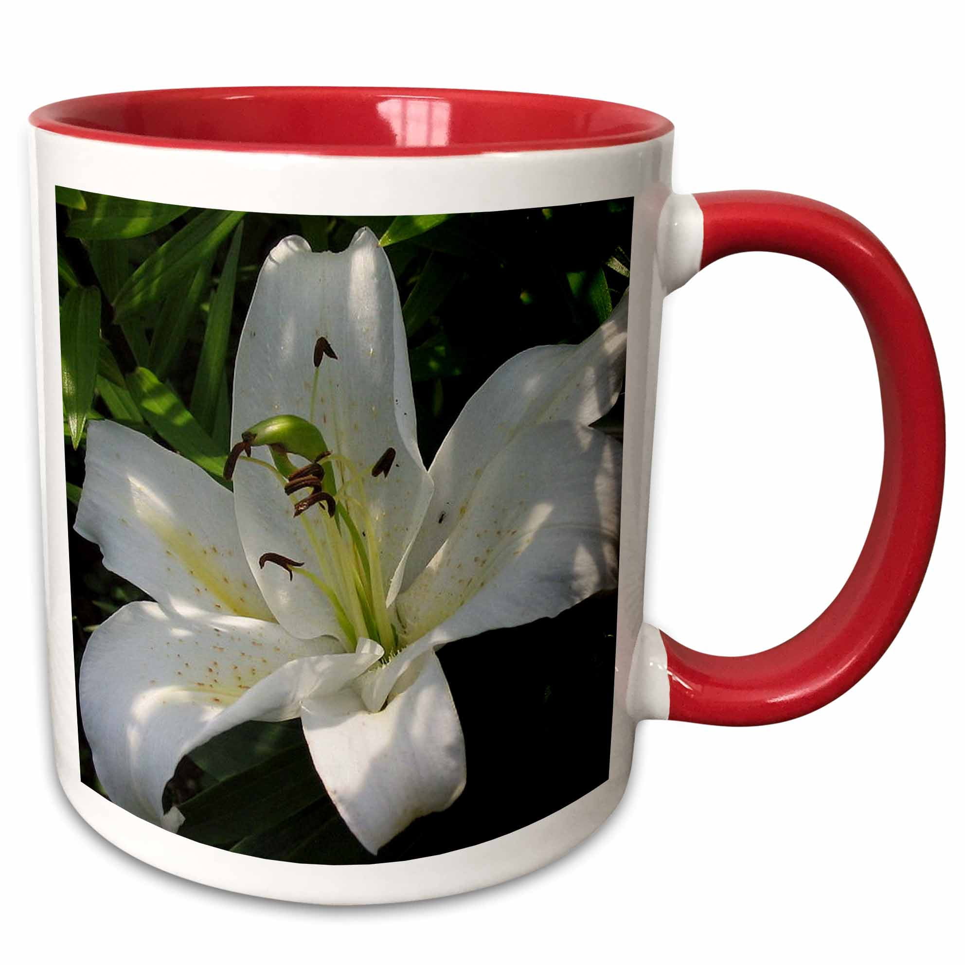 3drose, White Lily - May Birth Flower, Birth Flower, Lily, Lilies ...
