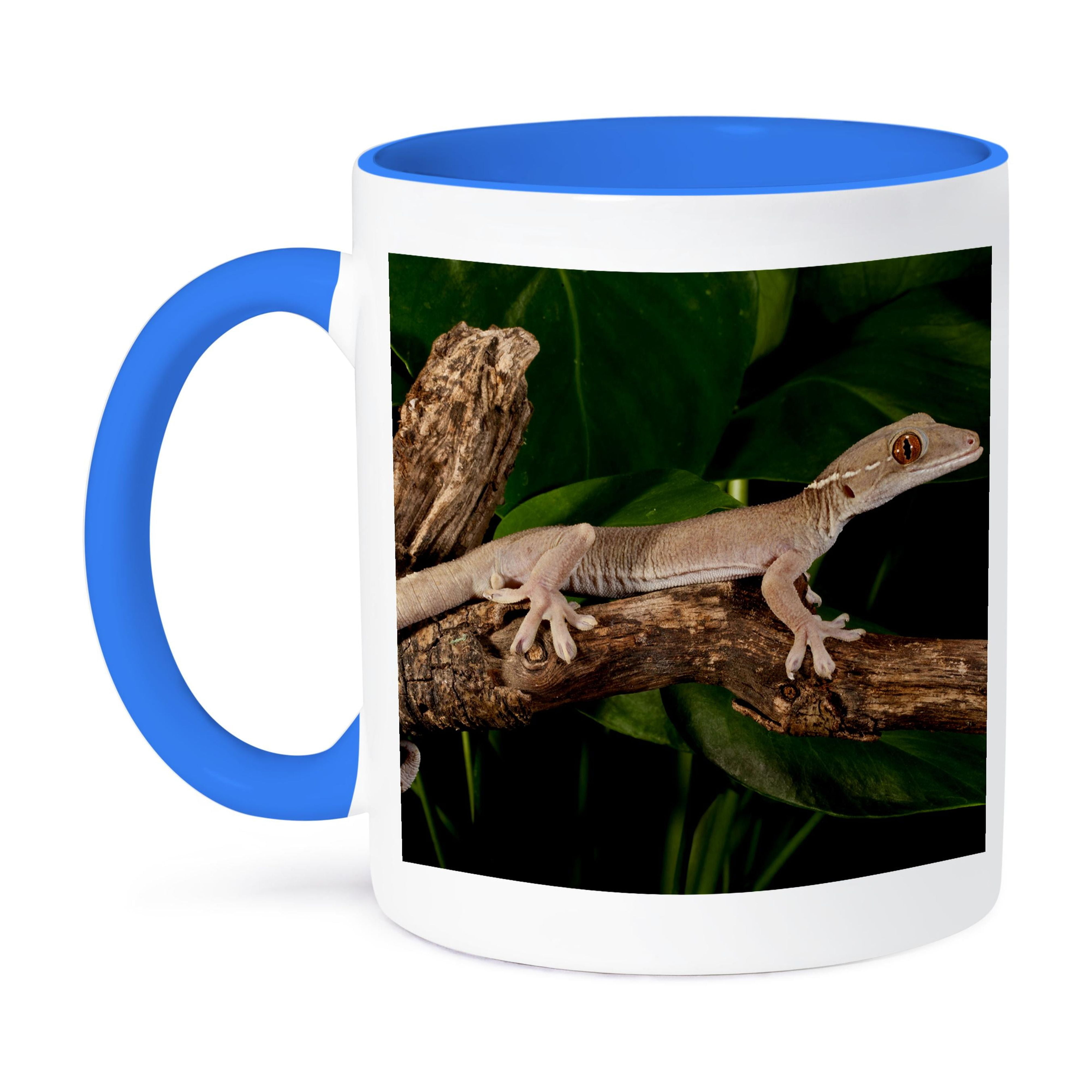 3dRose, White Line Gecko, Lizard Native to Indonesia - NA02 DNO0902 - David Northcott, 11oz Two ...