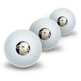 White Llama Novelty Golf Balls, 3pk - Walmart.com