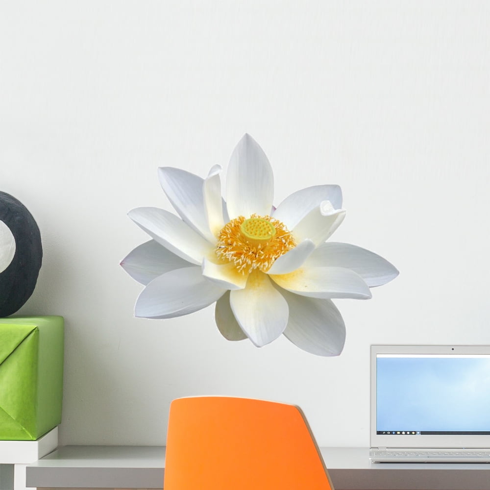 White Lotus Flower Wall Decal by Wallmonkeys Peel and Stick Graphic (18 ...
