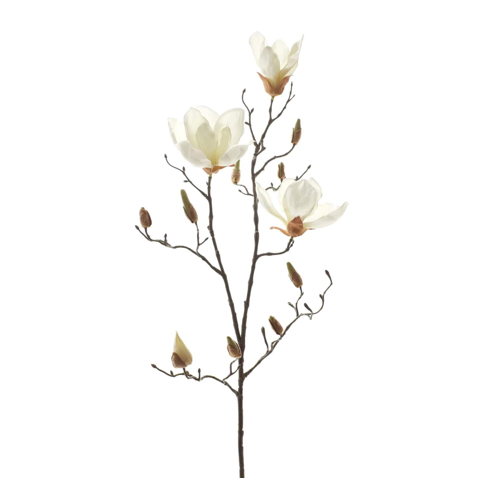 Ashland White Magnolia Branch Stem - Walmart.com