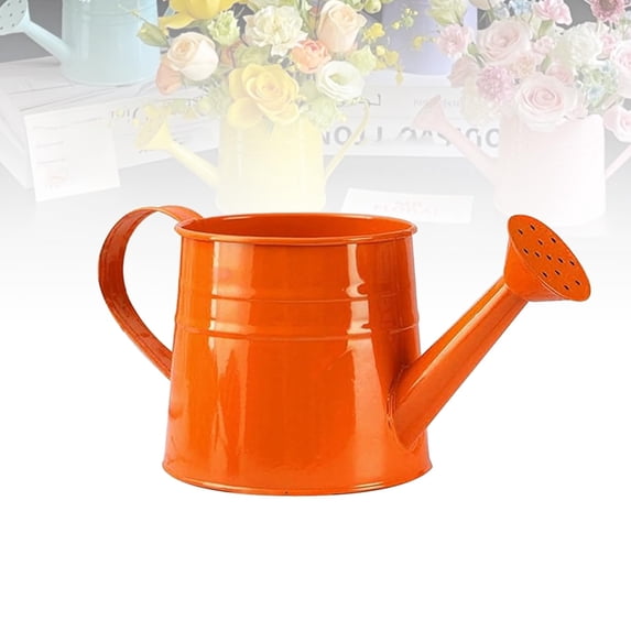 White Metal Watering Can 1L Vintage Garden Sprinkling Can for Indoor ...
