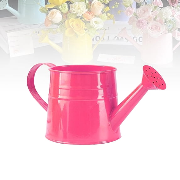 White Metal Watering Can 1L Vintage Garden Sprinkling Can for Indoor ...