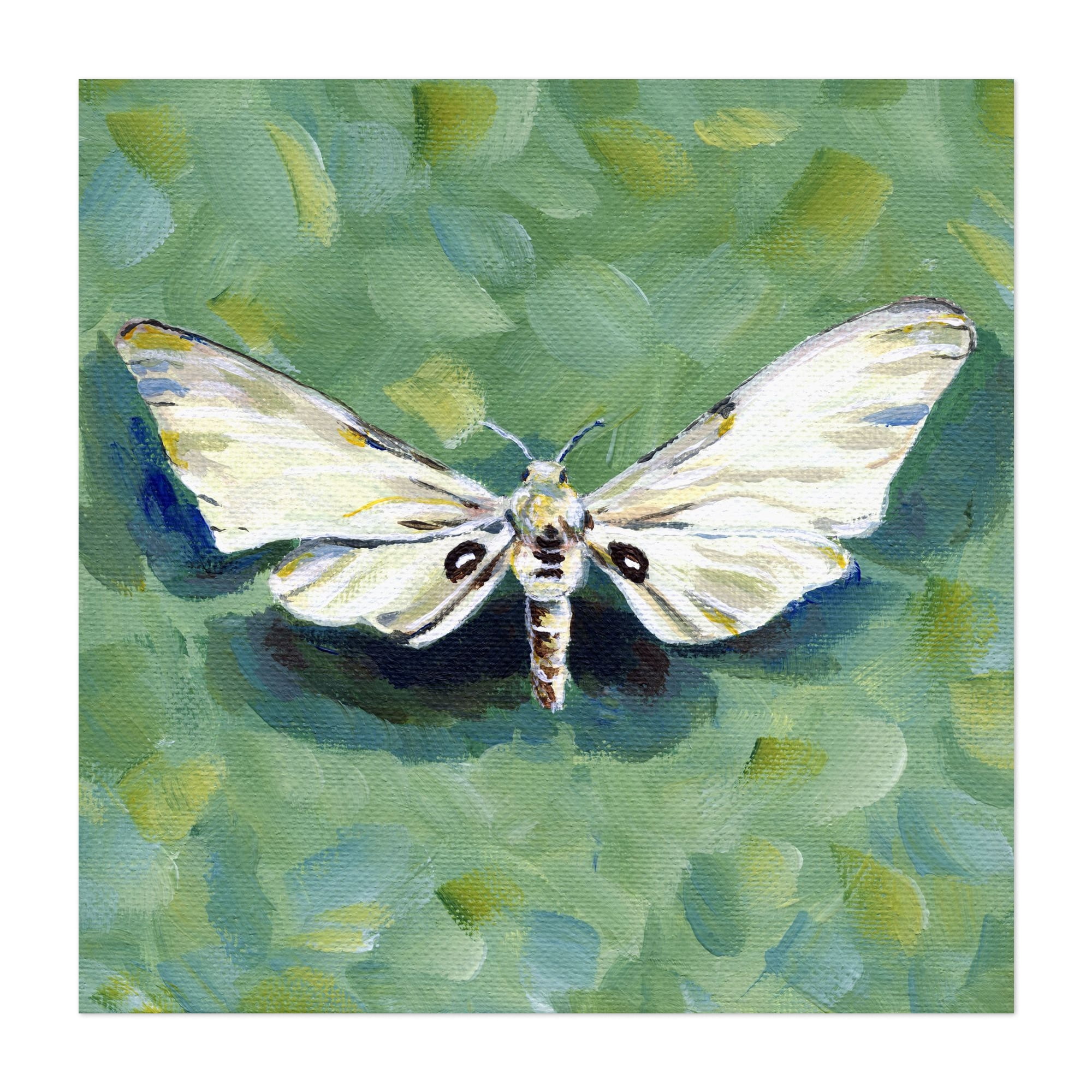 White Moth - Painting Insect Butterfly Nature Wildlife Watercolor ...