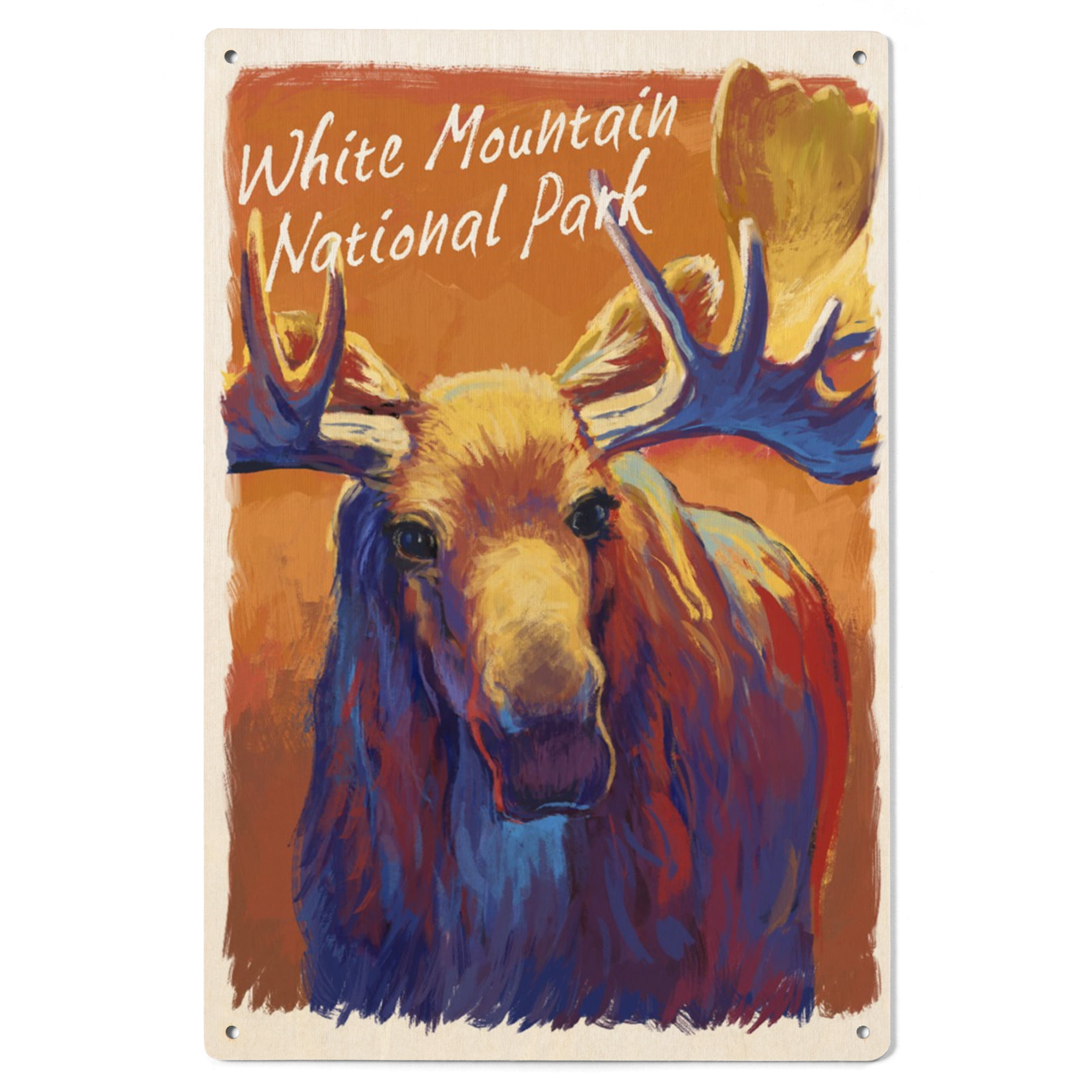 White Mountain National Forest, New Hampshire, Moose, Vivid Birch Wood ...