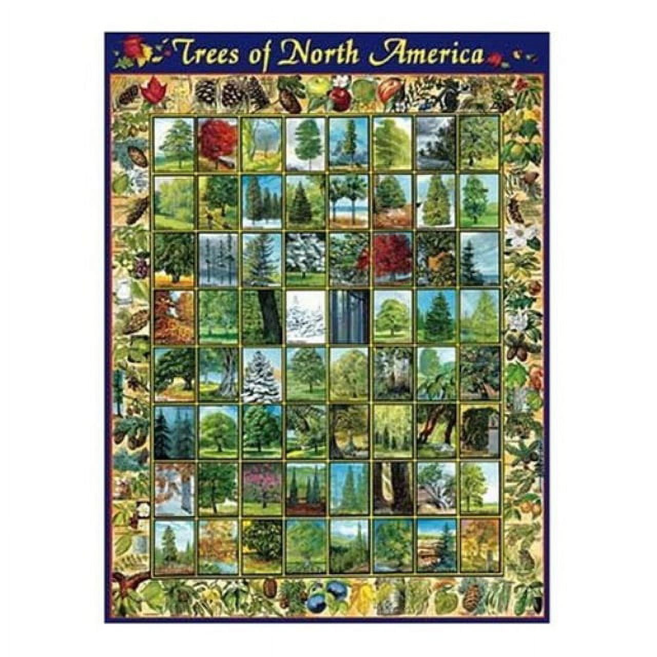 White Mountain Puzzles Trees of North America 1000 Piece Jigsaw Puzzle ...