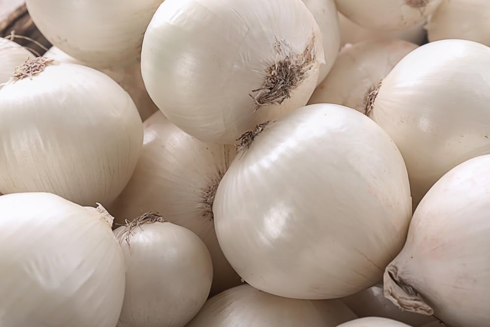 White Onion Sets for Planting - Easy to Grow Vegetables (100 Onion Sets ...