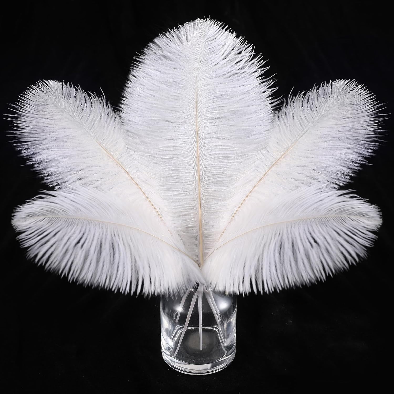 White Ostrich Feathers for Craft,Bexikou 20 Pcs 8-10 inch Ostrich ...
