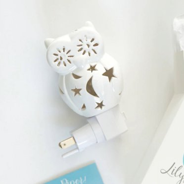 Plug in Dimmable LED Night Light with Dusk to Dawn Auto Sensor ...