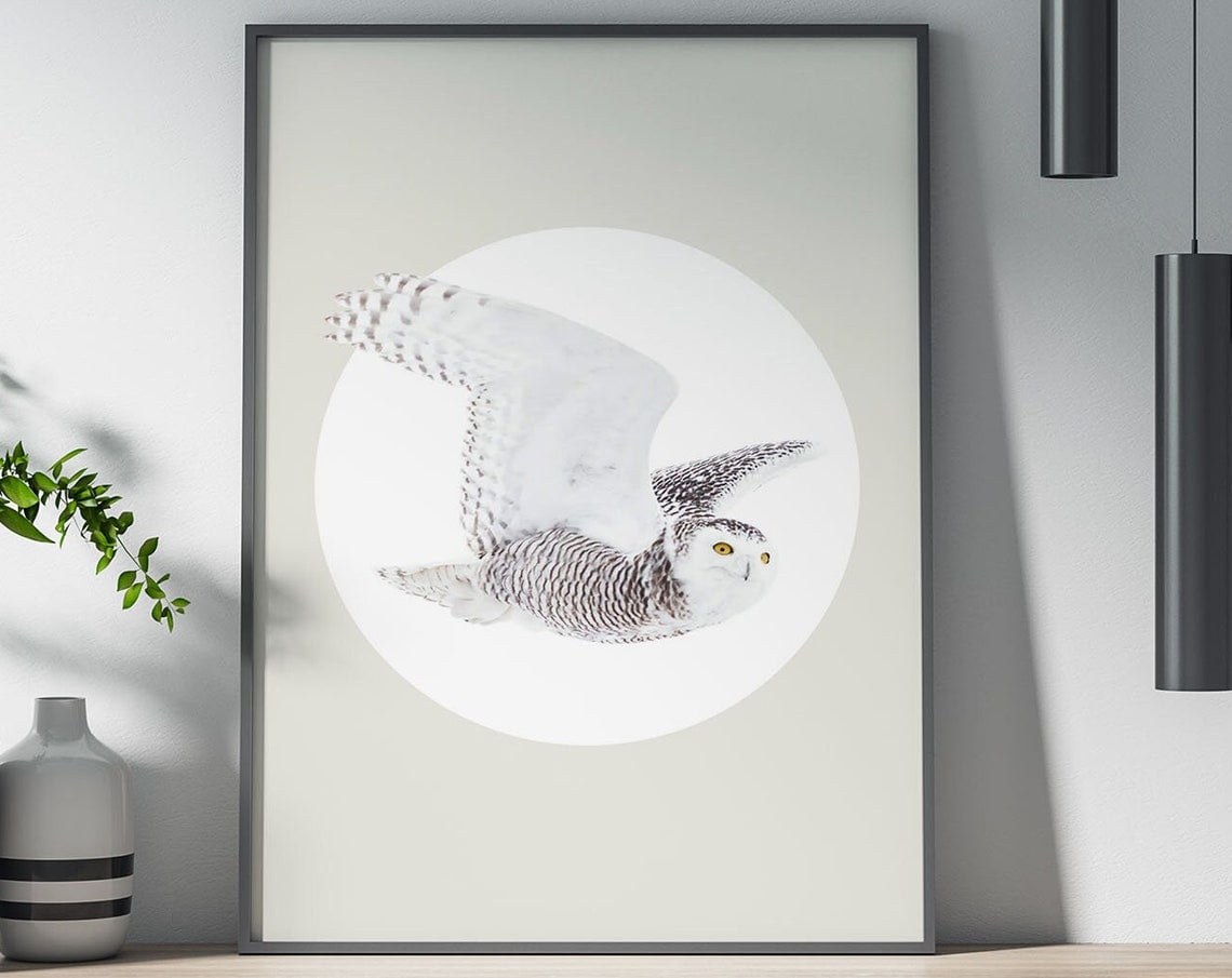 White Owl Poster, Poster Print, Wall Decor, Wildlife, Nature, Birds ...