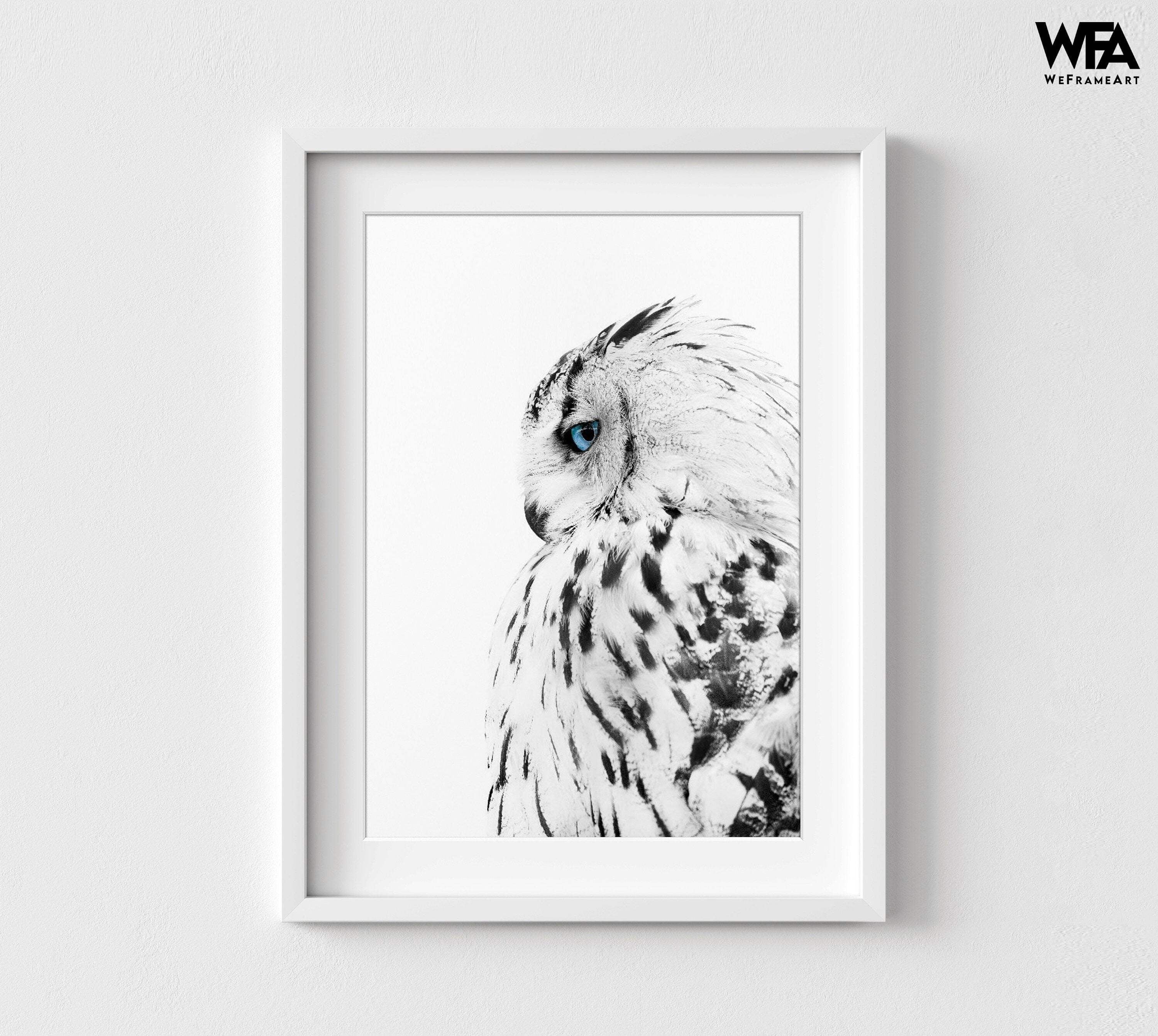 White Owl Print, Snowy Owl Photography, Framed Bird Photography, Black ...