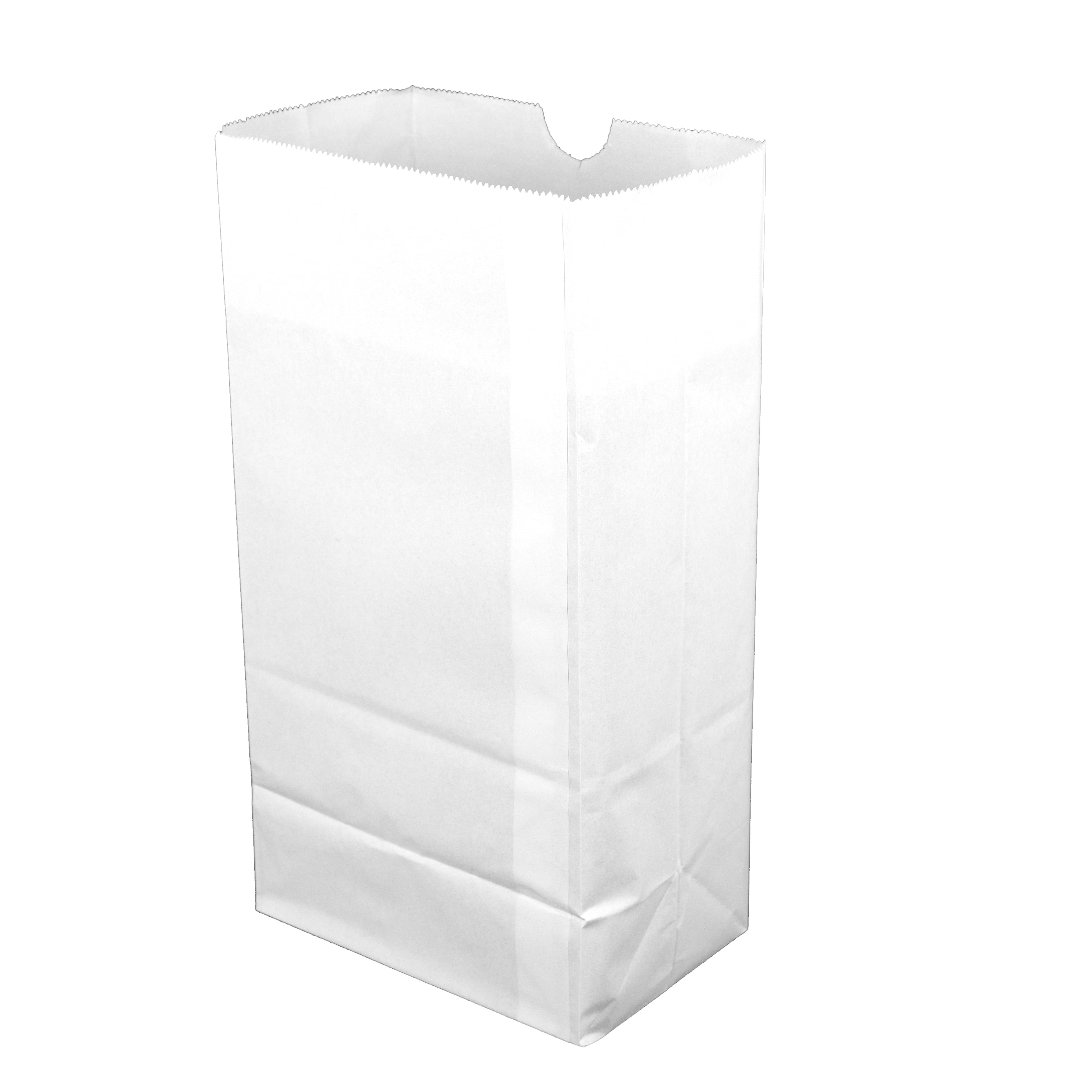 SSWBasics White Paper Bags, Small Size 5x3.33x9.75, Case of 1000 ...
