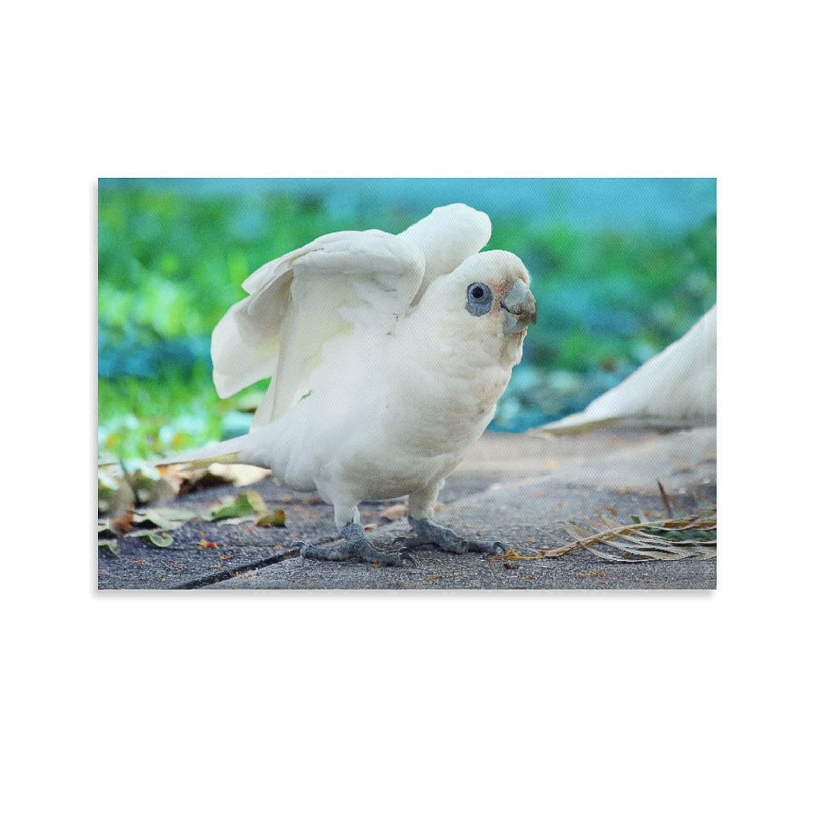 A White Parrot Standing On The Ground Canvas Art Poster And Wall Art ...