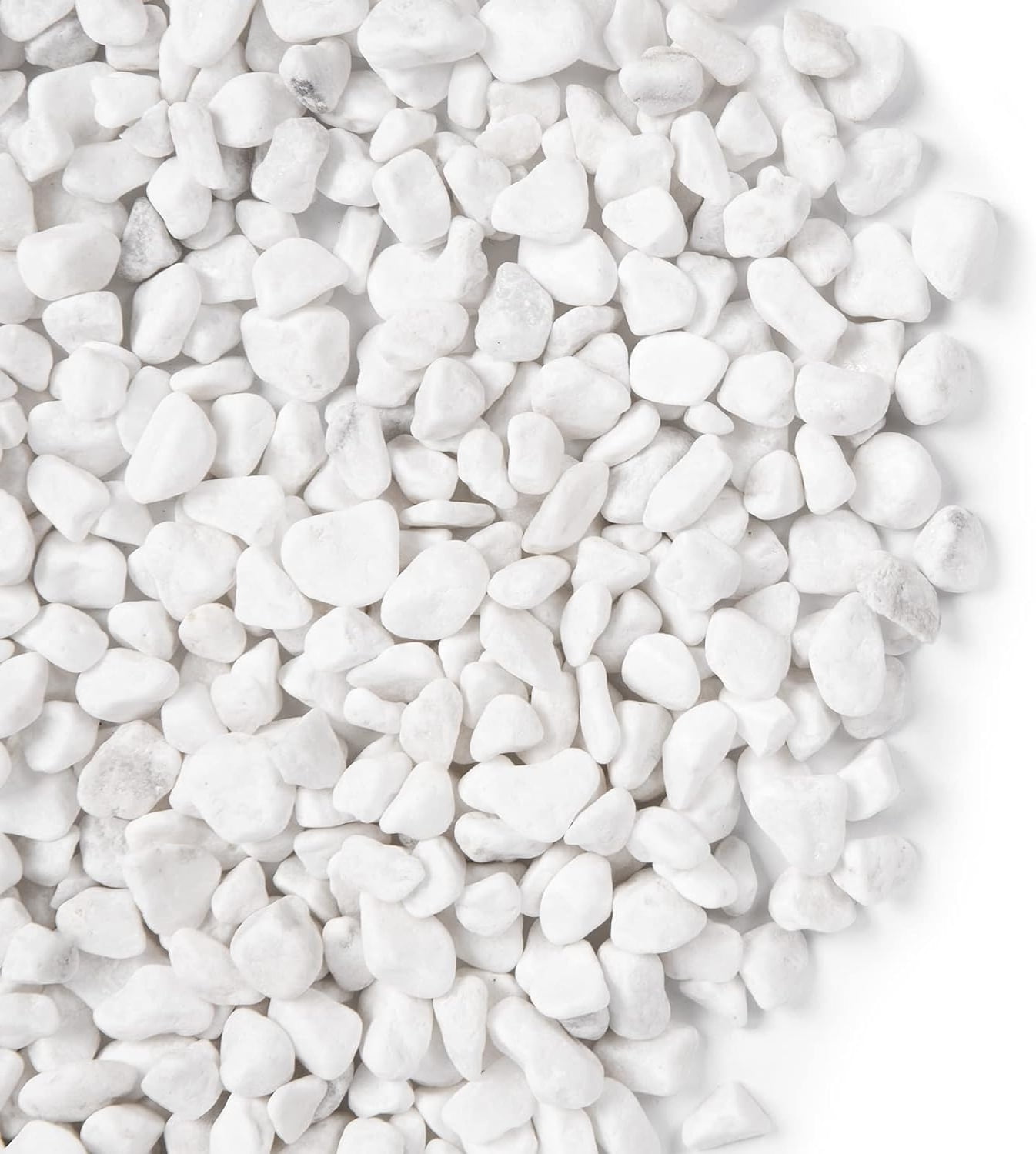 White Rocks for Plants, 5LBs Gravel for Indoor Plants, Cactus, Vases ...