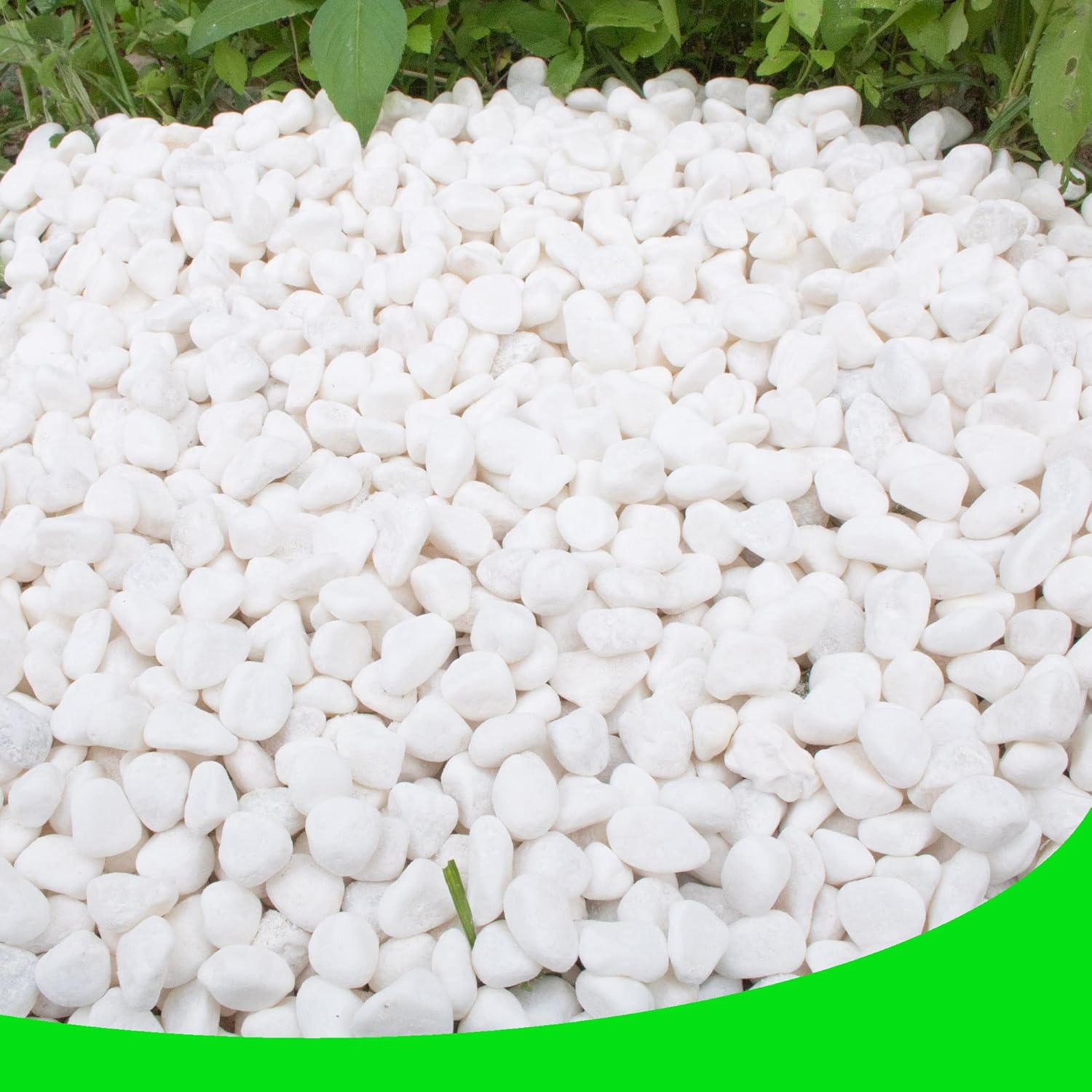 White Pebbles for Plants Garden 18 lb White Rocks Gravel Decorative ...