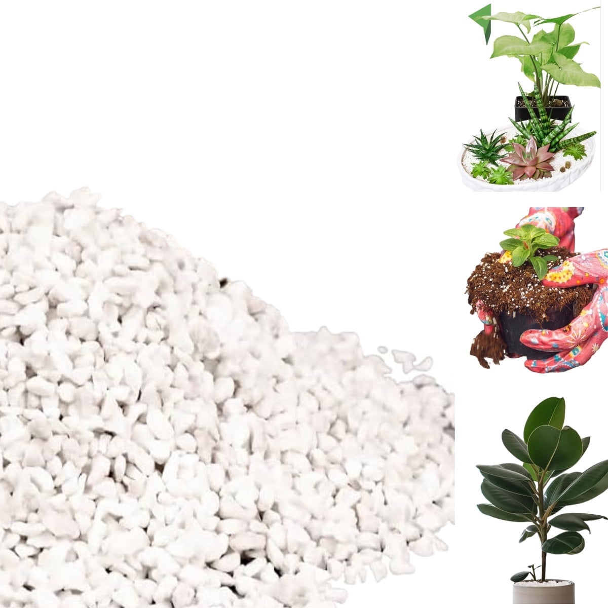 White Soft Perlite for Potted Plants,Succulent Potted Gravel,Garden ...