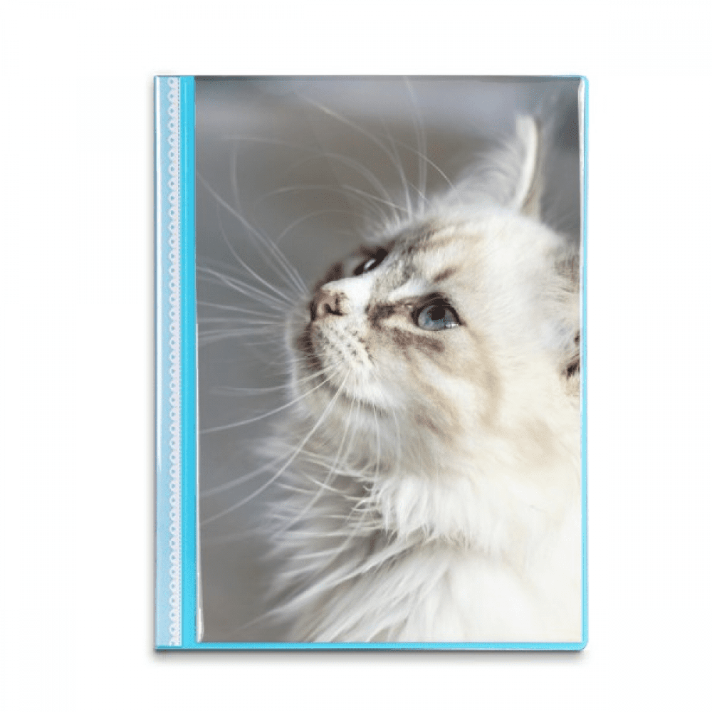 White Pet Cat Animal Profile Cute Stare Book Sheet Protectors Portfolio ...