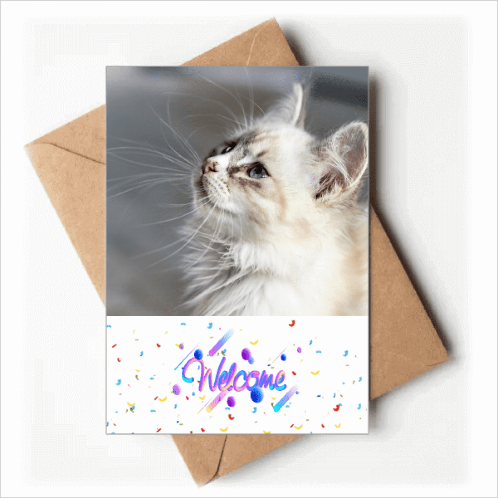 White Pet Cat Animal Profile Cute Stare Welcome Back Greeting Cards ...