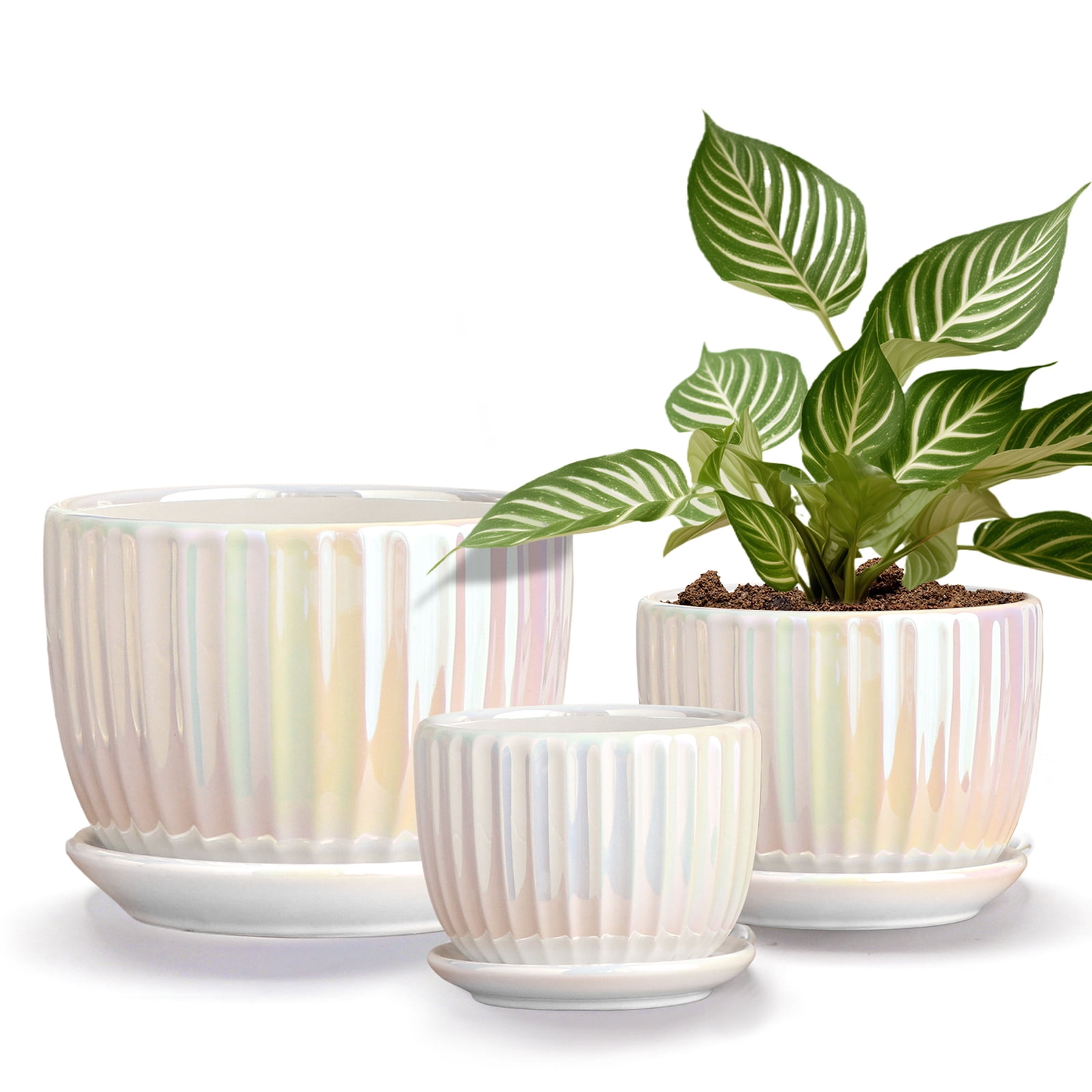 Ton Sin Ceramic Plant Pots, 4" 5" 6", Pearl Gold Indoor Set of 3 ...