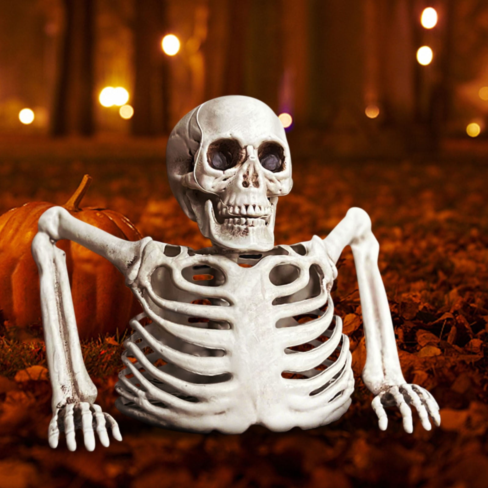 White Plastic Half Skeleton Halloween Prop - Realistic Spooky ...