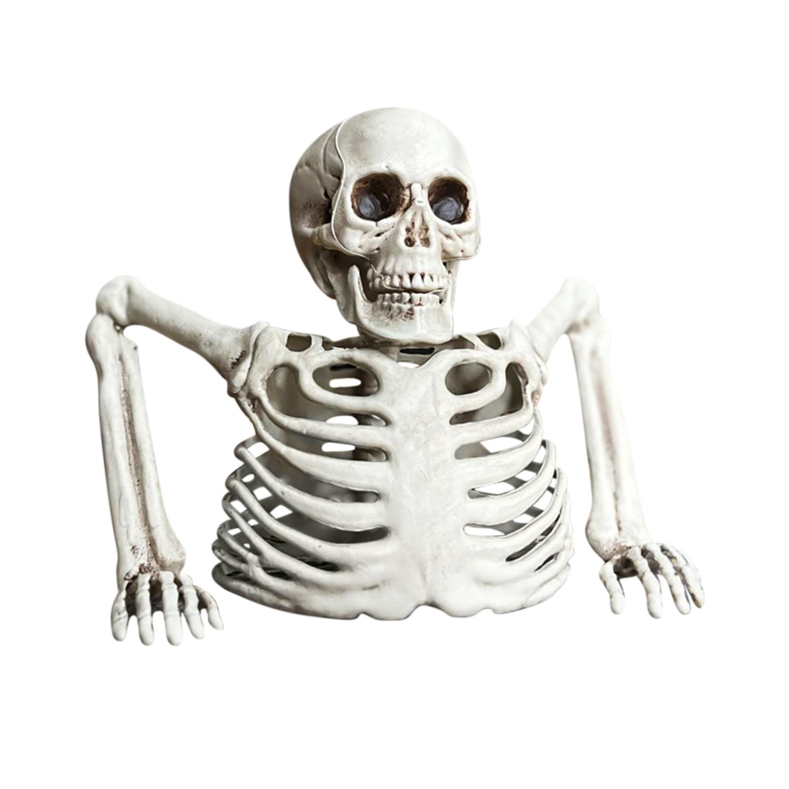 White Plastic Half Skeleton Tabletop Prop - Poseable Halloween ...