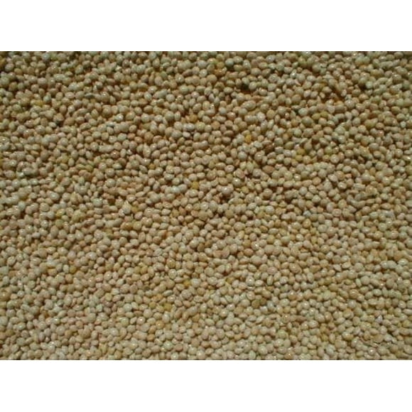 Bird Seed 40 Lb