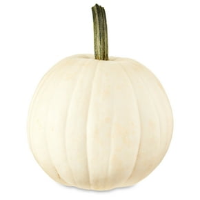 Real Mini White Pumpkins