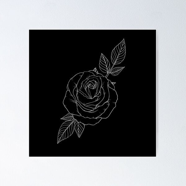 White Rose Line Art With Black Background Poster Wall Art, Modern Wall ...
