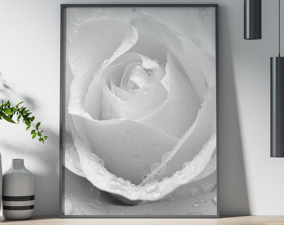 White Rose Poster, Poster, Poster Print, Wall Decor, White Rose, Floral ...