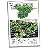 White Russian Kale Seeds for Planting, 1000+ Heirloom Seeds Per Packet ...