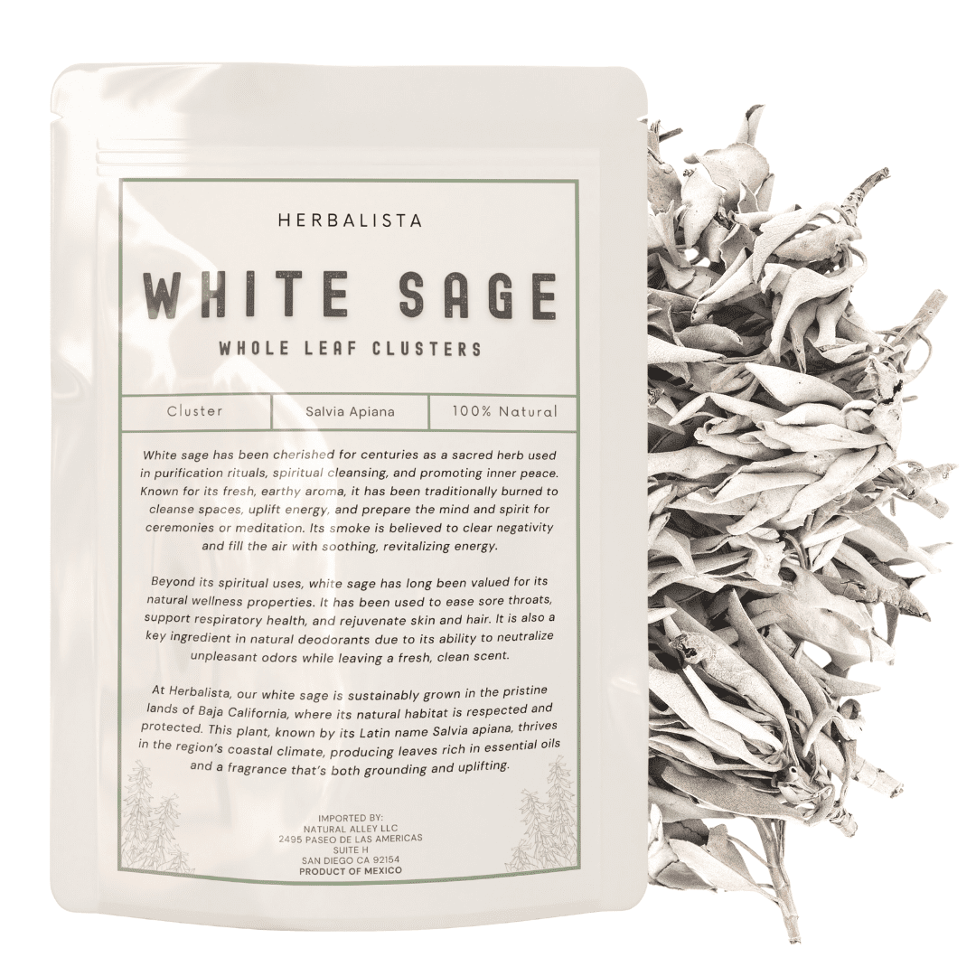 White Sage Loose Leaves & Clusters 16oz (1 LB) | Salvia Apiana ...
