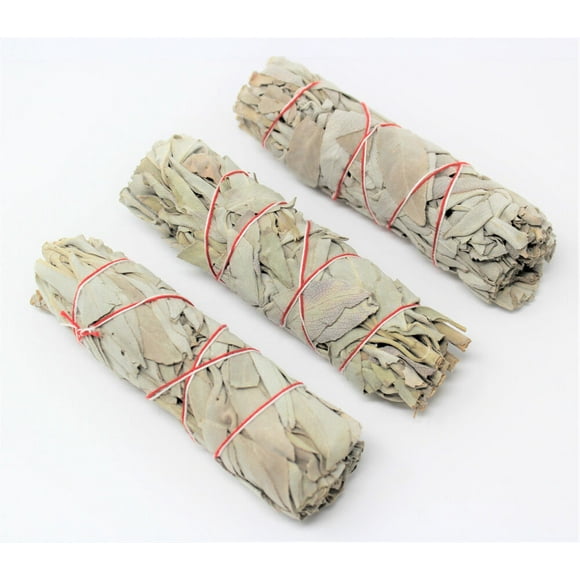 Sage Bundles Smudging
