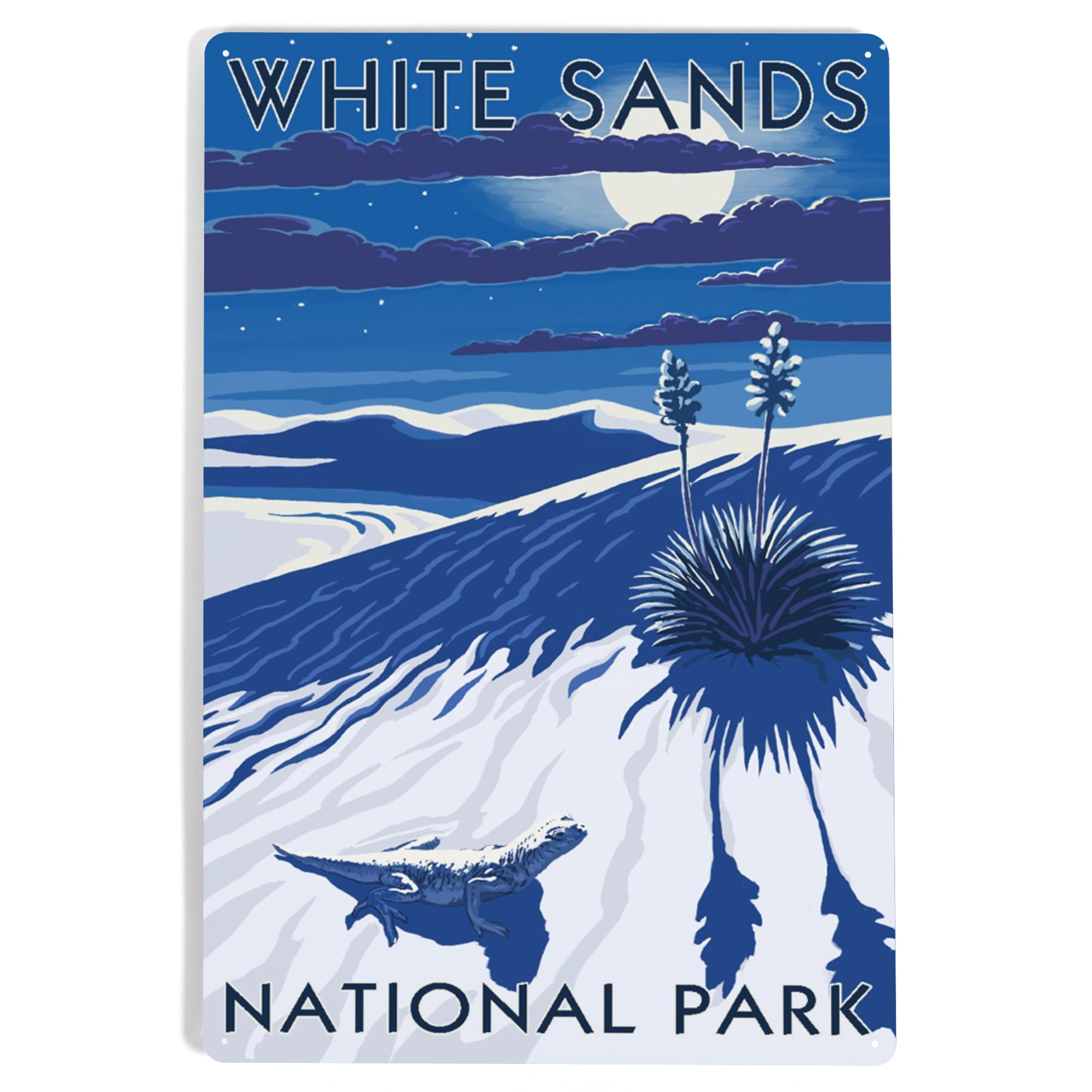 White Sands National Park, New Mexico, Night Scene (12x18 Aluminum Art ...