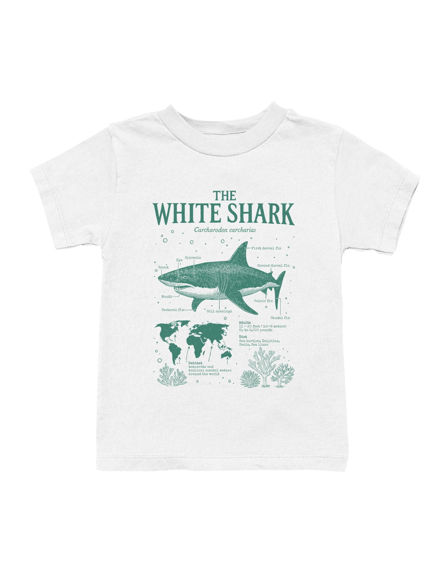 White Shark Anatomy and Habitat Youth's T-shirt - Walmart.com