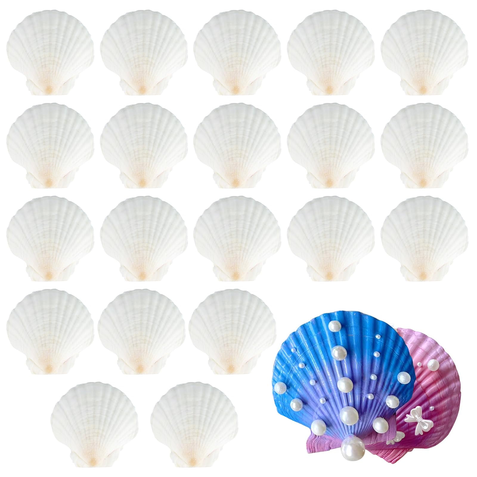 White Shells, Pack of 20 Artificial shells Scallops, 7 cm Decorative ...