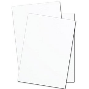 Shop 130lb Colored Cardstock for Creative and Office Projects