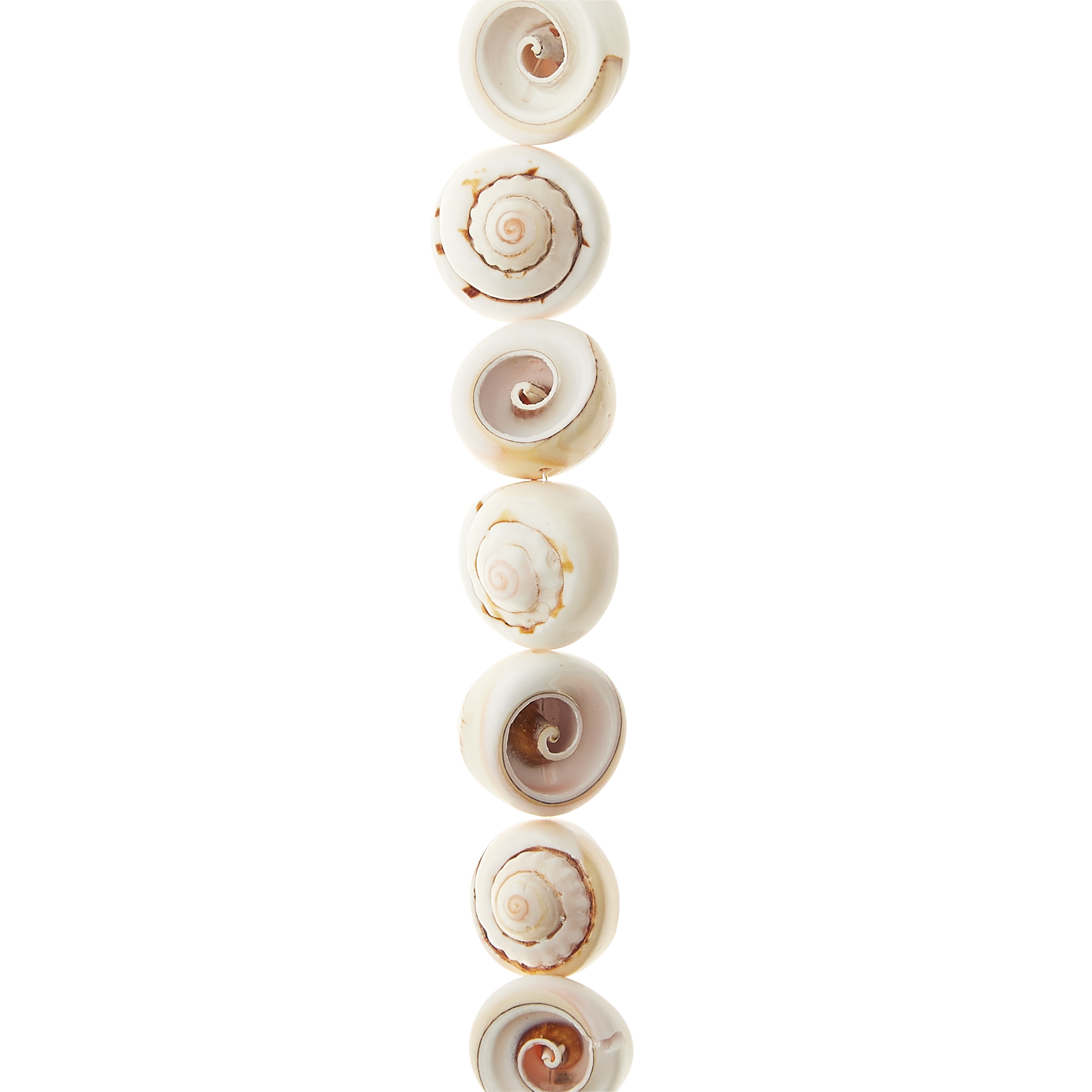 White Swirl Shell Beads - 16mm by Bead Landing - Walmart.com