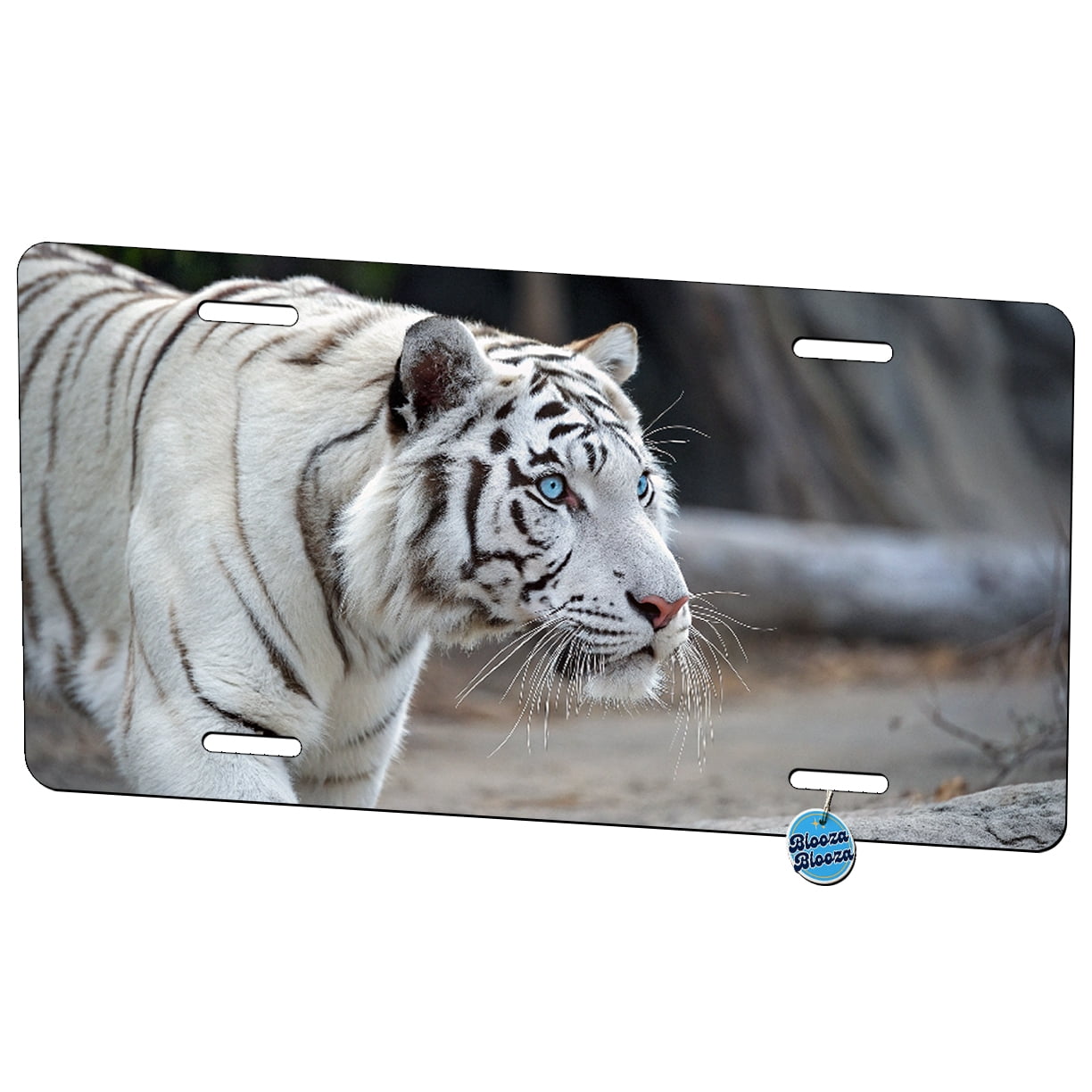 White Tiger Blue Eyes Staring Metal Novelty License Plate - Walmart.com