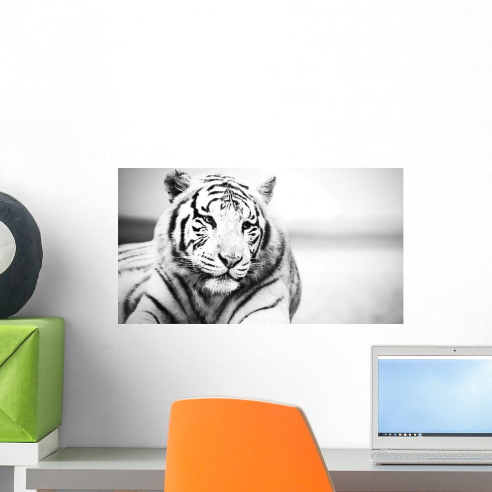 White Tiger Wall Mural Decal Sticker, Wallmonkeys Peel & Stick Vinyl ...