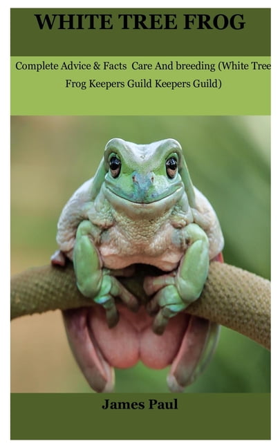 White Tree Frog: Complete Advice & Facts Care And breeding On (White ...