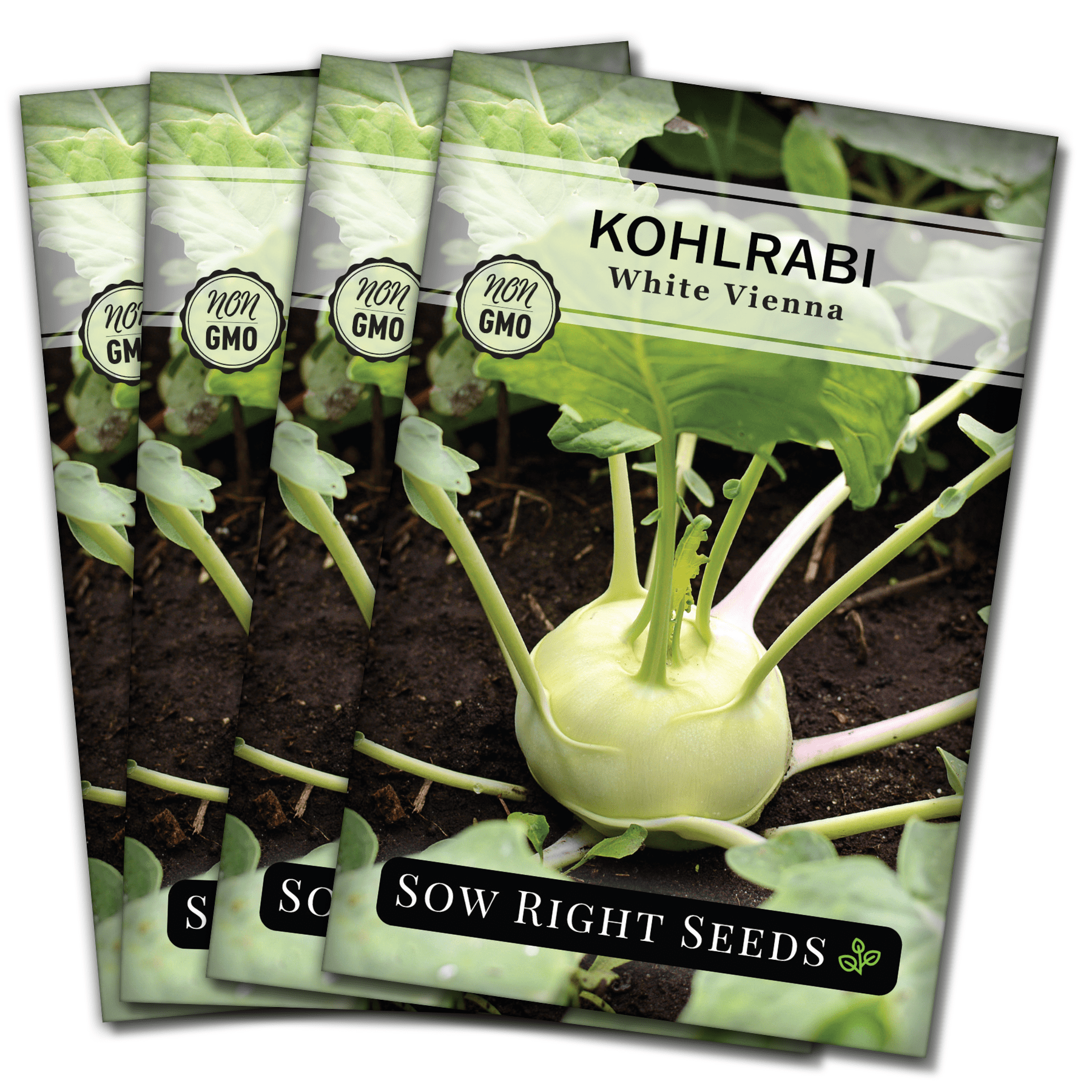 White Vienna Kohlrabi Seeds - Non GMO Heirloom Varieties for your Home ...