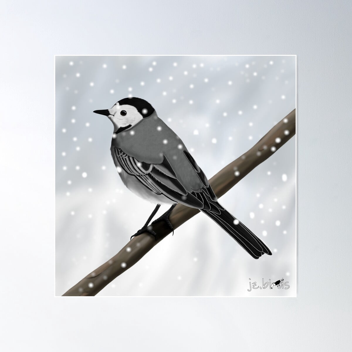 White Wagtail Drawing Bird Art Poster Wall Art, Modern Wall Decor For ...