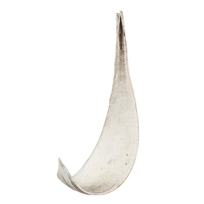 White Wash Wide Mini Palm Paddles Florida Tree - Walmart.com