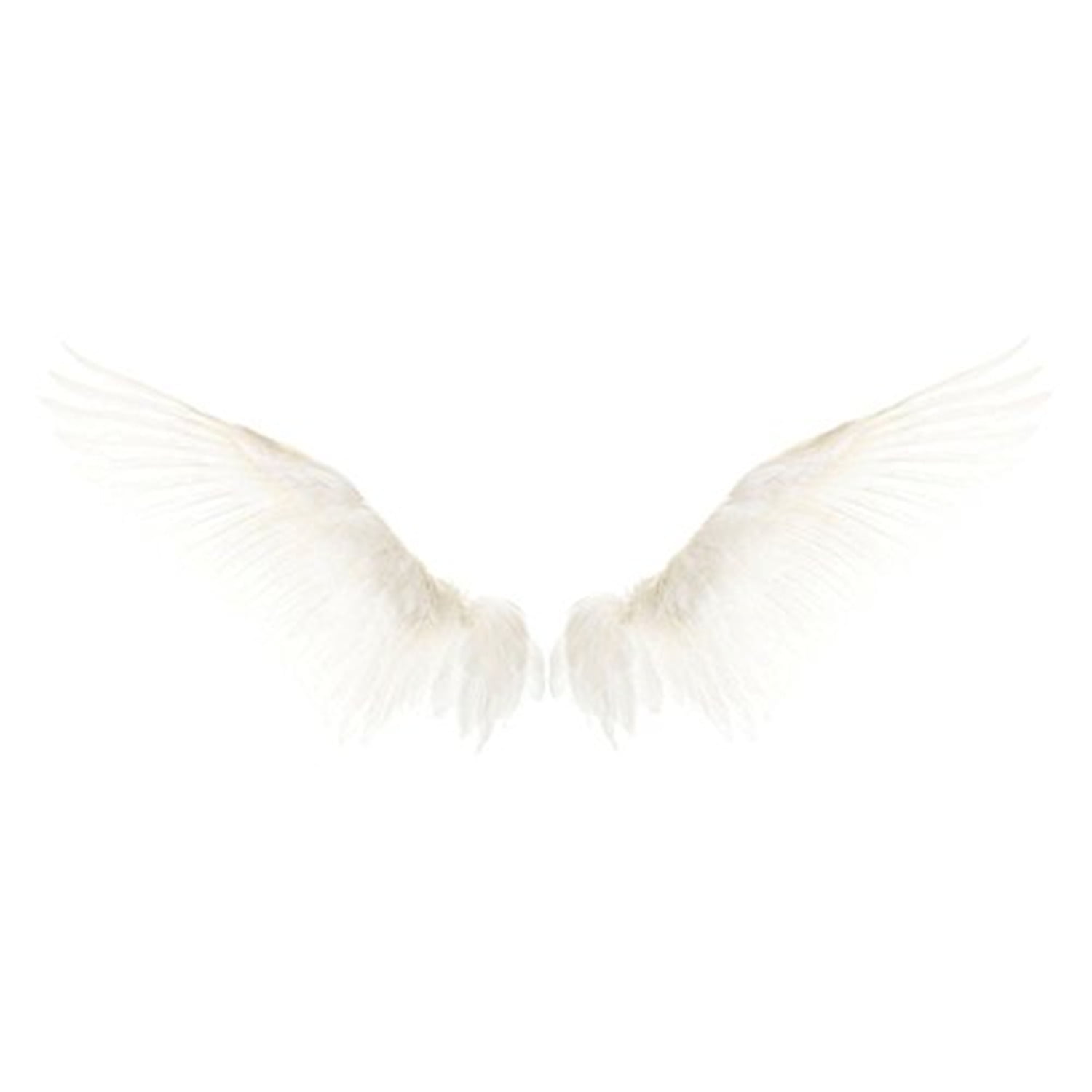 White Wings Painting Print on Wrapped Canvas - Walmart.com